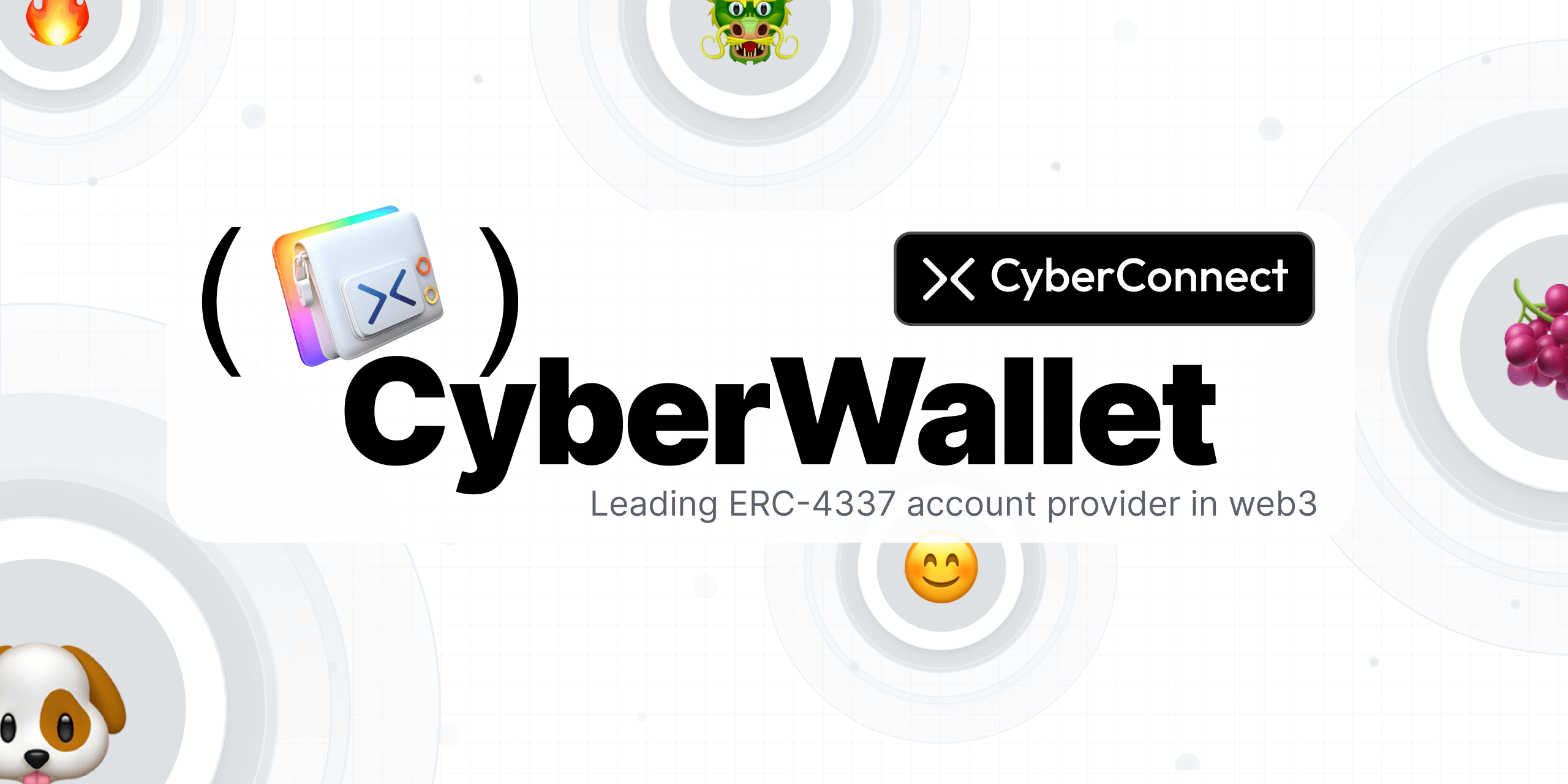 Assets | Cyber Wallet